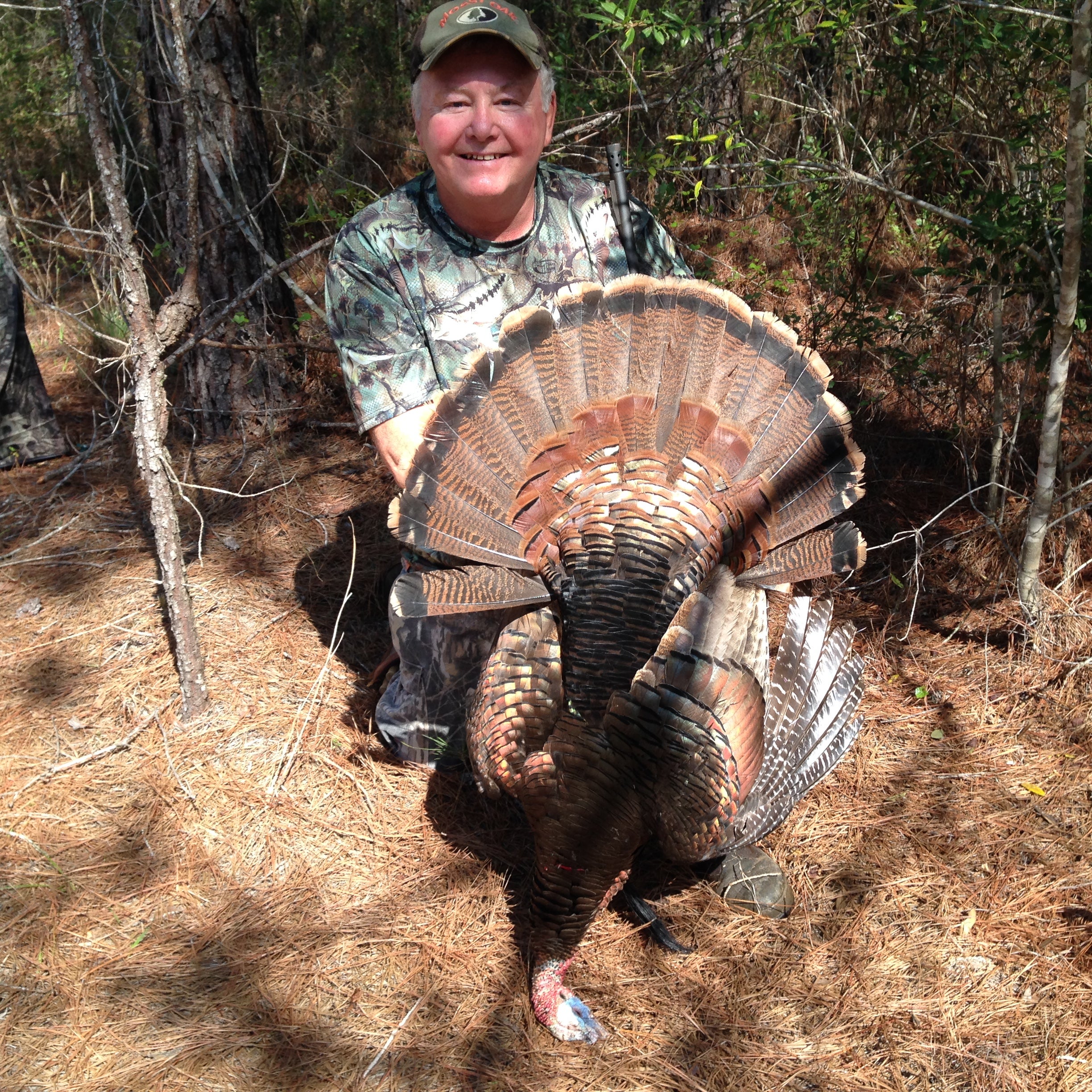 This Turkey Flew the Coop - AllOutdoor.com This Turkey Flew the Coop - AllOutdoor.com